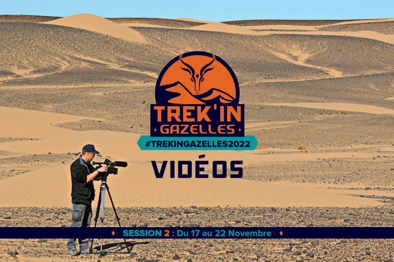 VIDÉOS SESSION #2 - Live 2022 Trek'in Gazelles